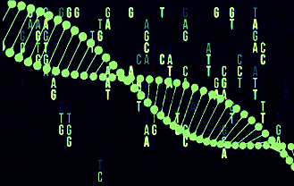 fciencias: Biología
